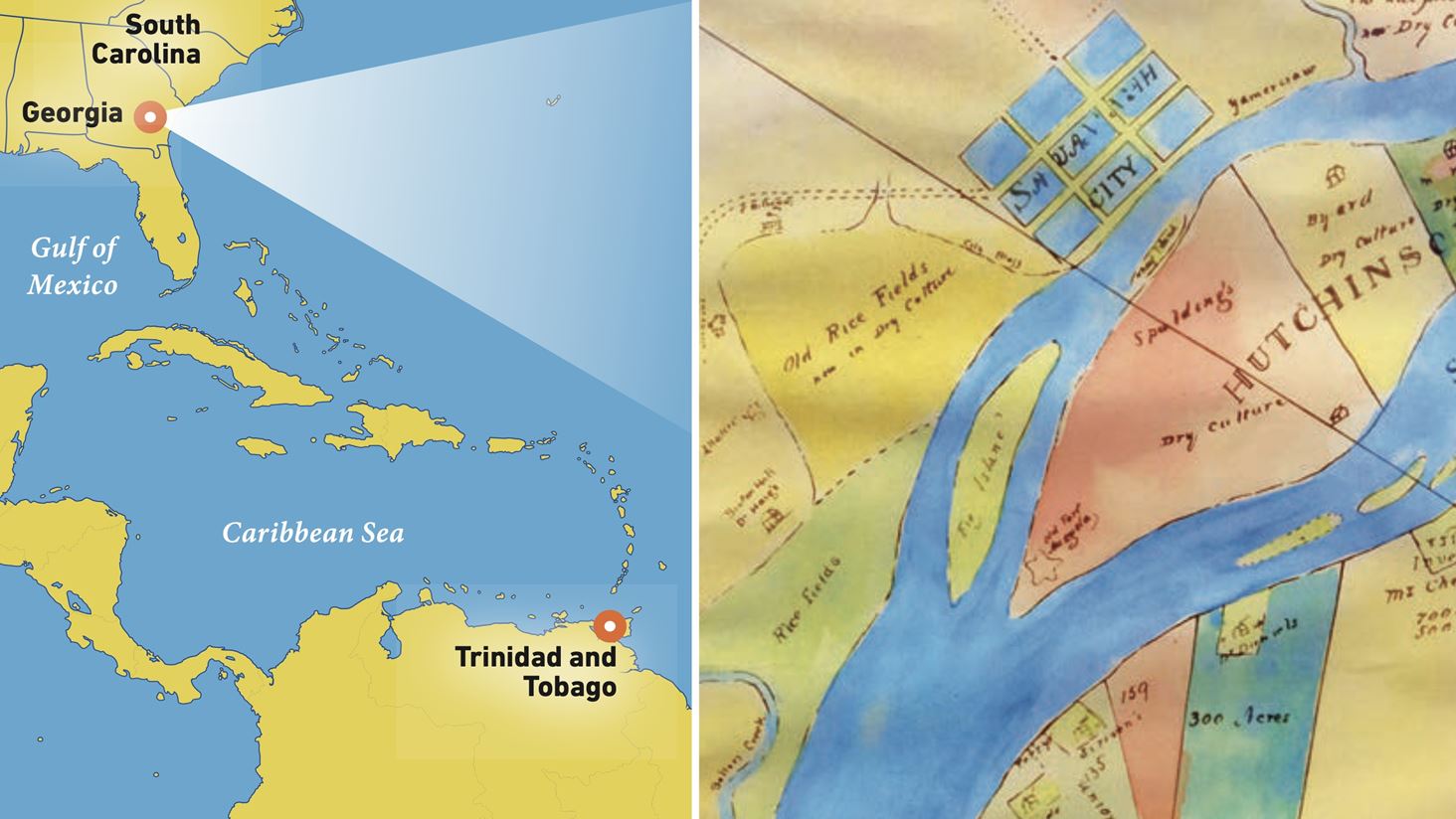 Learning Center Lesson: The Hill Rice Connection: Trace Its African ...