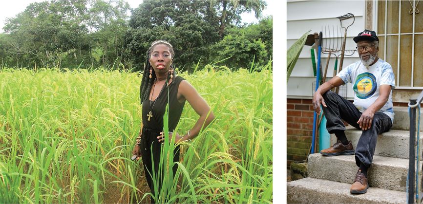 The Cultural Legacy of Moruga Hill Rice | AramcoWorld
