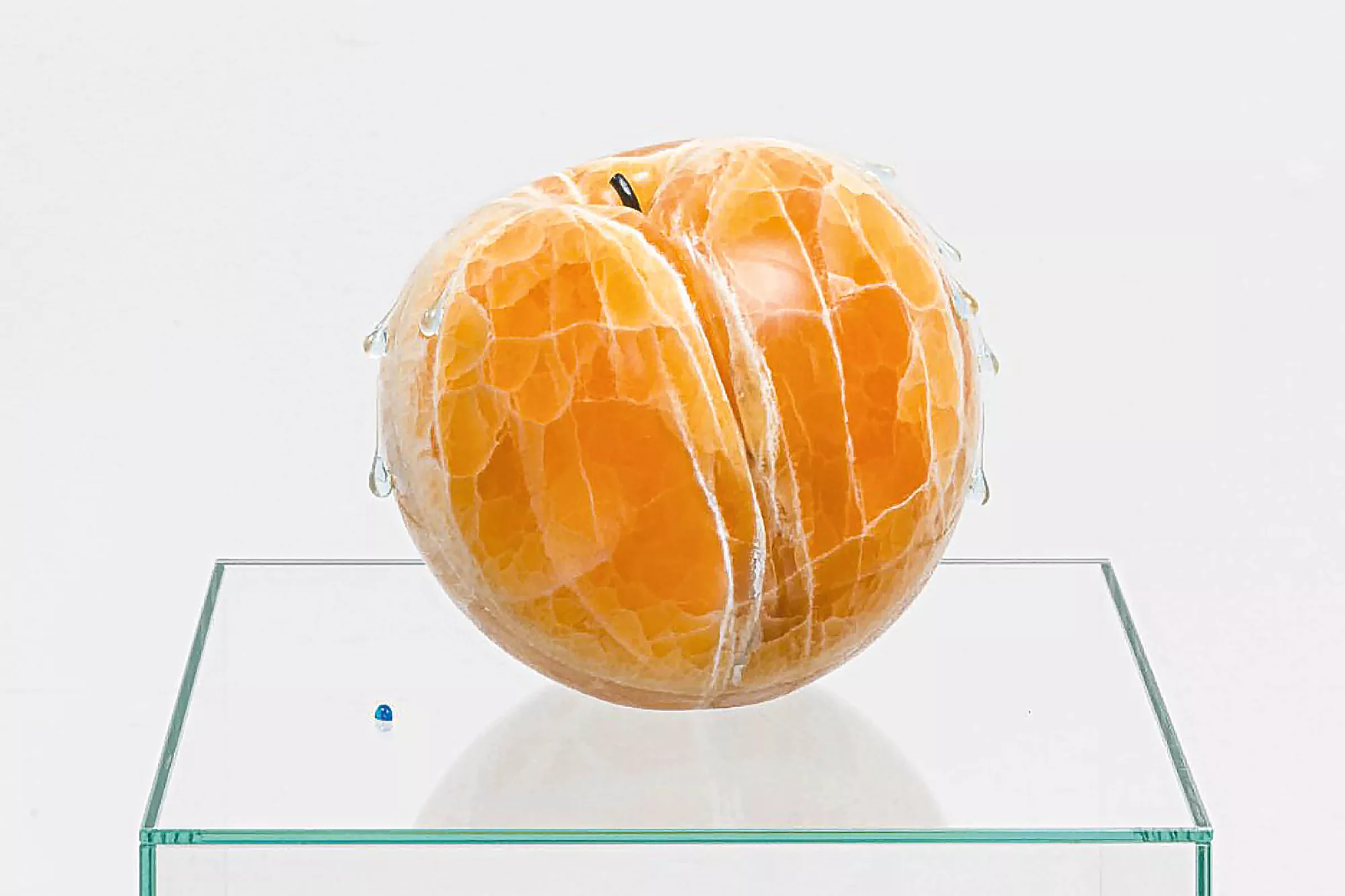 Nevine Mahmoud, Second Nature | AramcoWorld