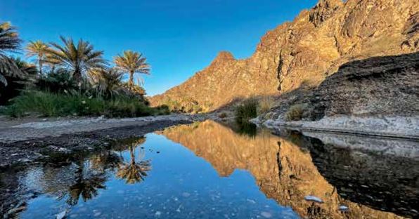 Omani Author Zahran Alqasmi's Story About Life, Land and Honey | AramcoWorld